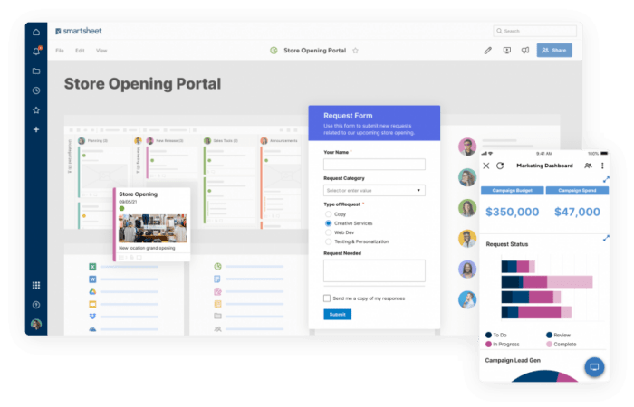 10 Best Program Management Tools & Software 2025 | ClickUp