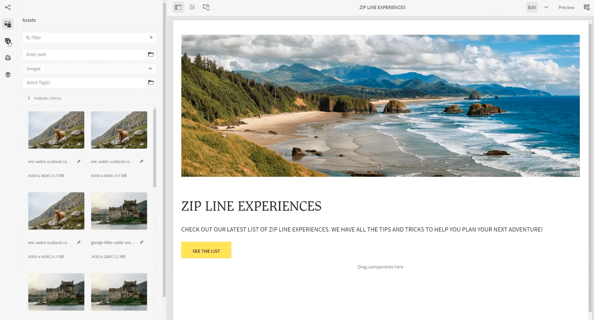 10 Best Web Design Tools 2025 (Graphic Design Tools) | ClickUp