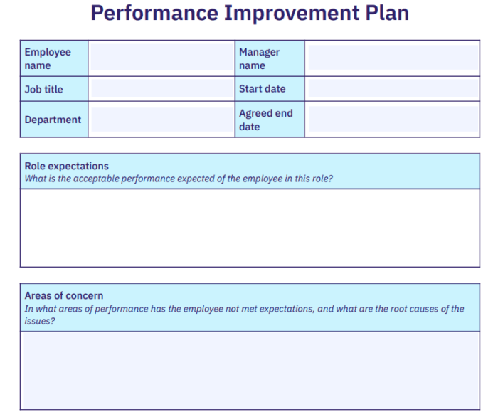 10 Performance Improvement Plan (PIP) Templates for Managers
