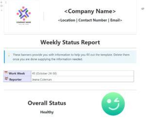 10 Free Project Status Report Templates (Daily, Weekly, Monthly)