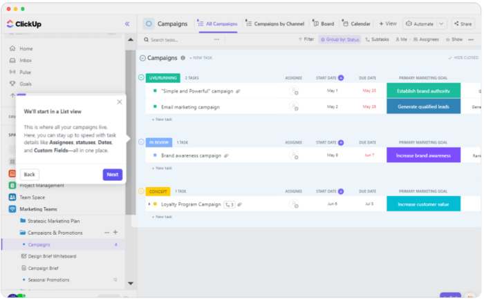 Customer Lifecycle Marketing: A Marketer's Guide | ClickUp