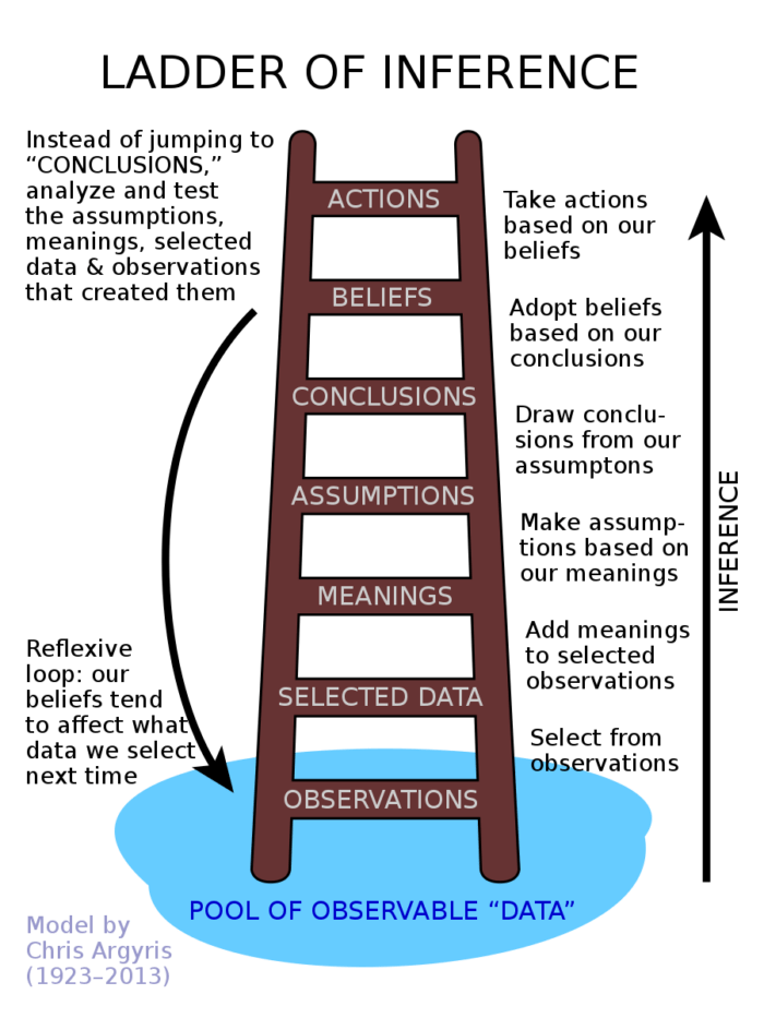 Understanding the Ladder of Inference to Make Better Decisions