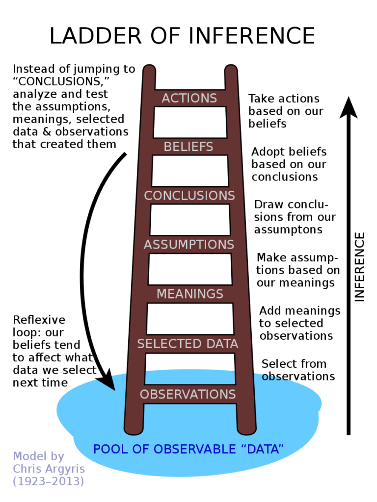 Understanding the Ladder of Inference to Make Better Decisions