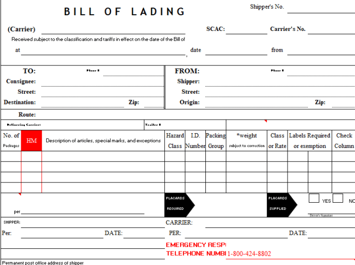 Bill of Lading Templates & Examples (Excel, Forms, Google Docs)