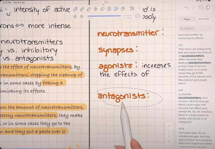 Apple Notes Vs Notability: Which Note-Taking App is Best?