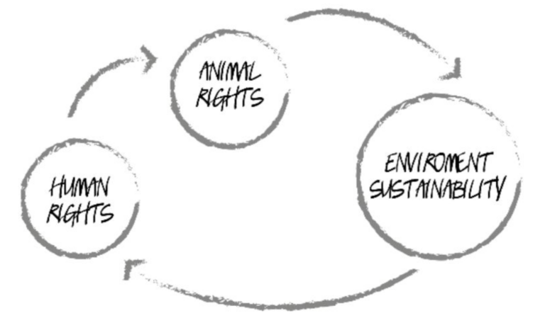 10 Contoh Rencana Pemasaran yang Efektif & Contoh
