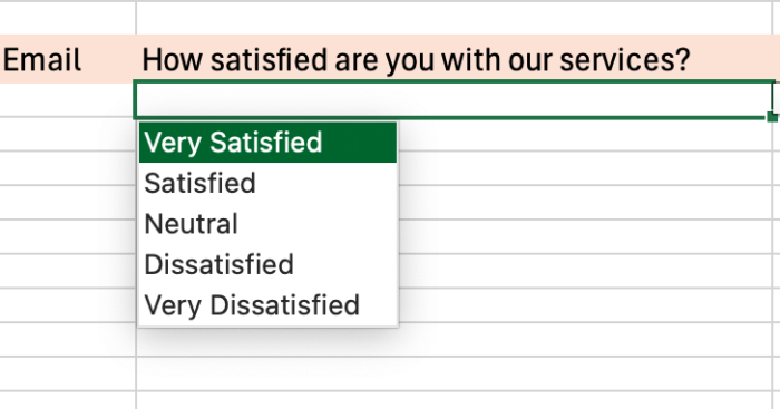 How to Create a Questionnaire Survey in Excel | ClickUp