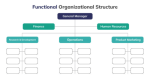 Types Organizational Structures (With Examples) | ClickUp