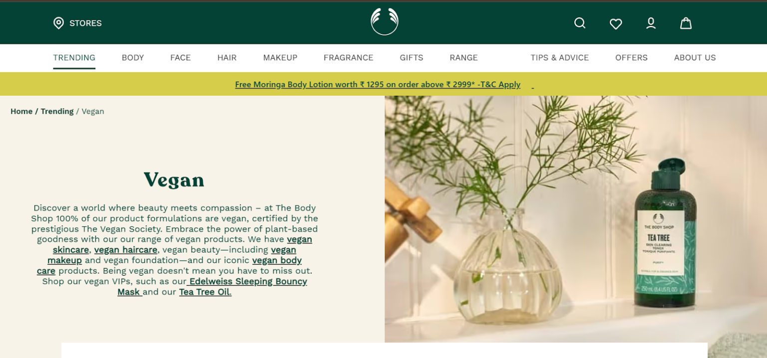 15 Customer Segmentation Examples + How to Segment | ClickUp