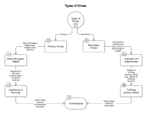 How to Use Drive Reduction Theory for Goal Setting and Motivation