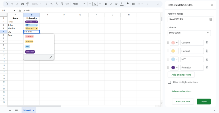 How to Add a Drop Down List in Google Sheets | ClickUp