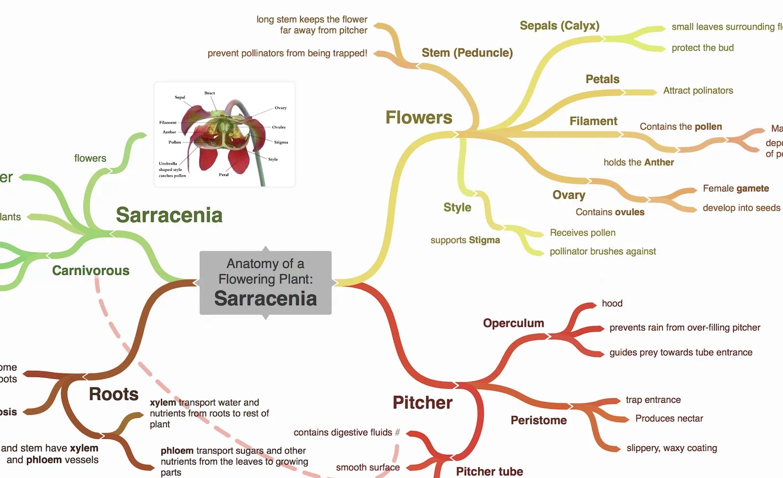 Top 11 AI Tools for Mind Mapping for Creativity and Organization
