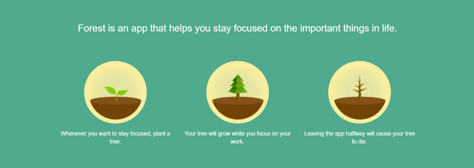 Top 12 Study Apps to Transform Your Learning | ClickUp