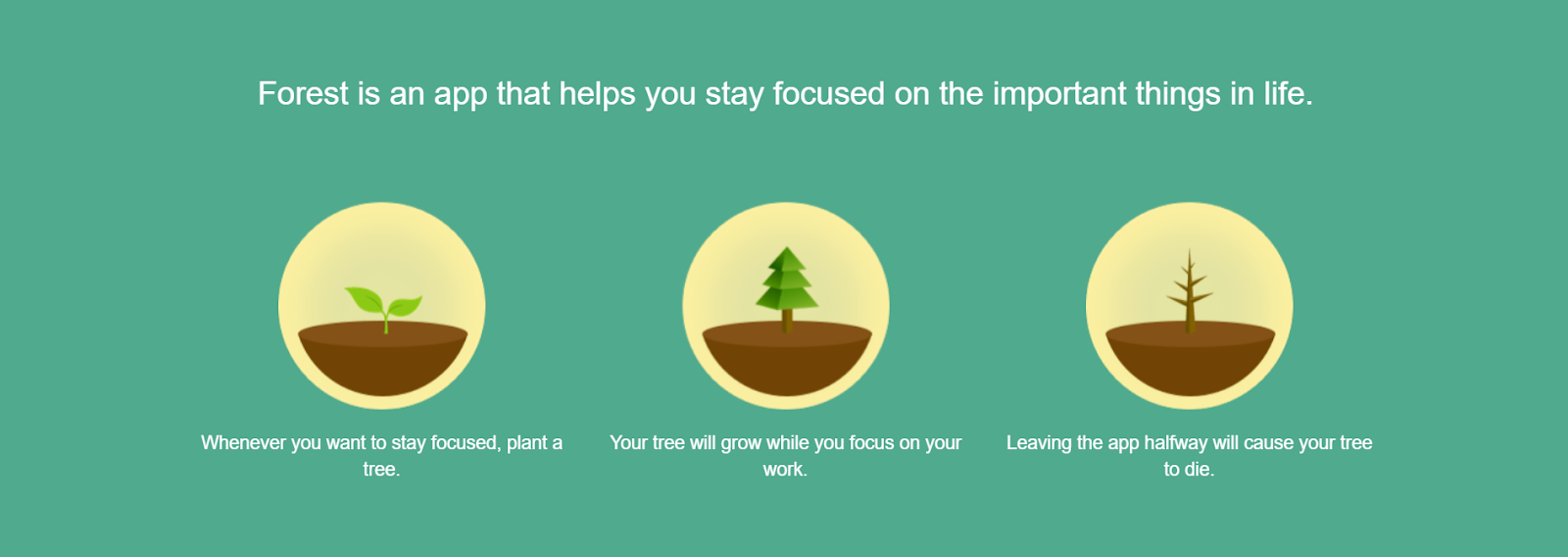 Top 12 Study Apps to Transform Your Learning | ClickUp