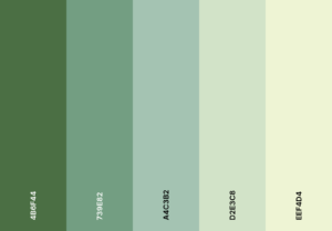 Cómo utilizar eficazmente los esquemas de colores de Google Calendar