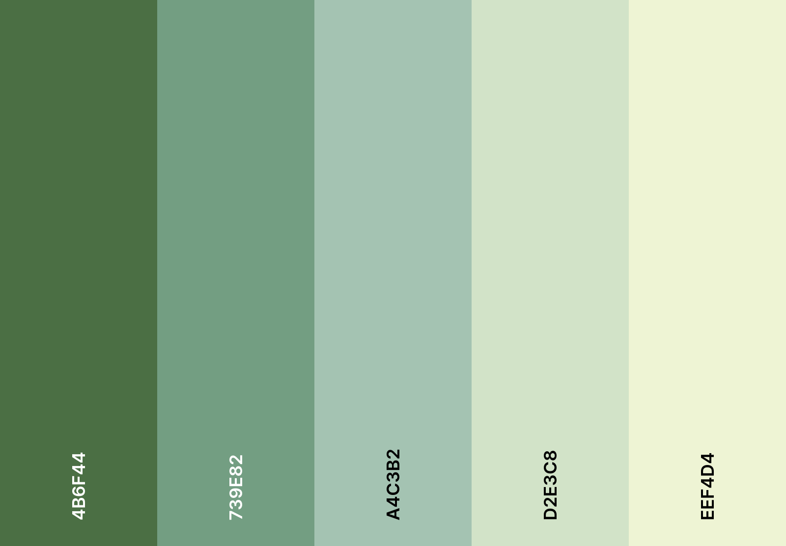 How to Use Google Calendar Color Schemes Effectively | ClickUp