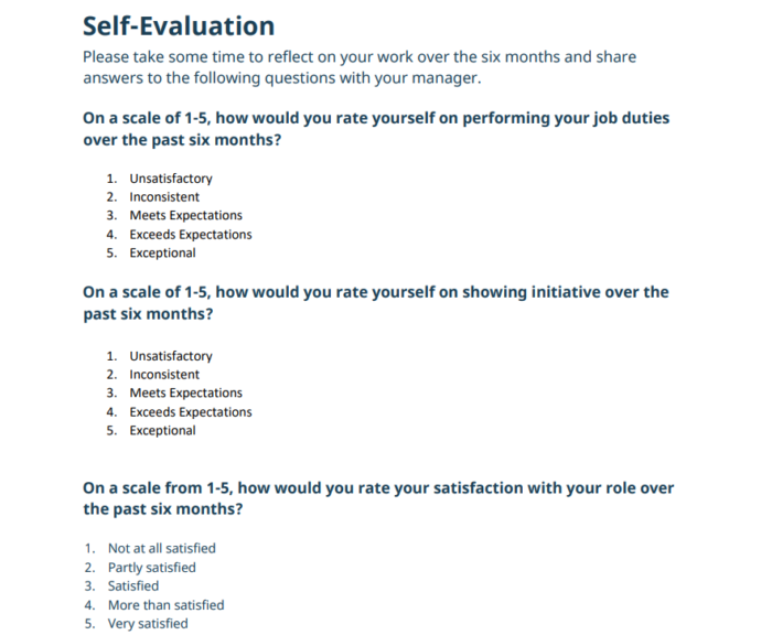 Free Mid Year Review Templates to Track Performance