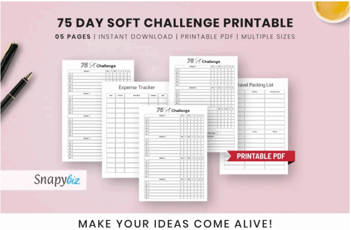 Free 75 Soft Challenge Templates to Track Your Daily Progress